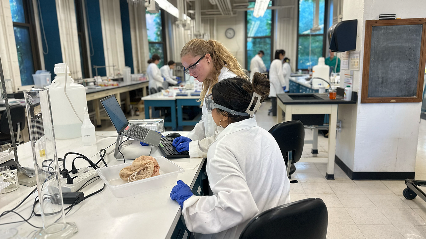 UChicago course puts art under the microscope | University of Chicago News